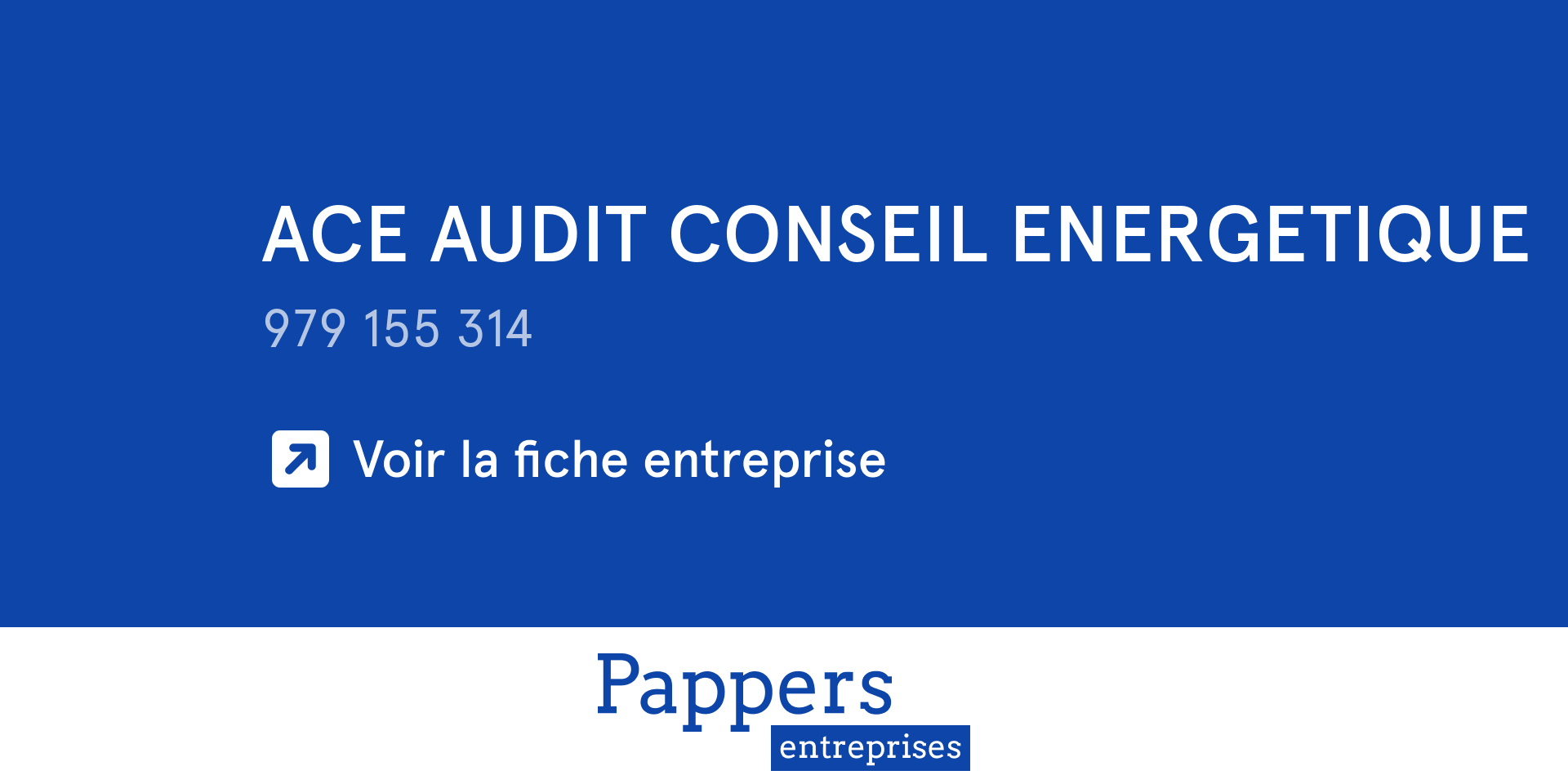 Société ACE AUDIT CONSEIL ENERGETIQUE : Chiffre d'affaires, statuts ...