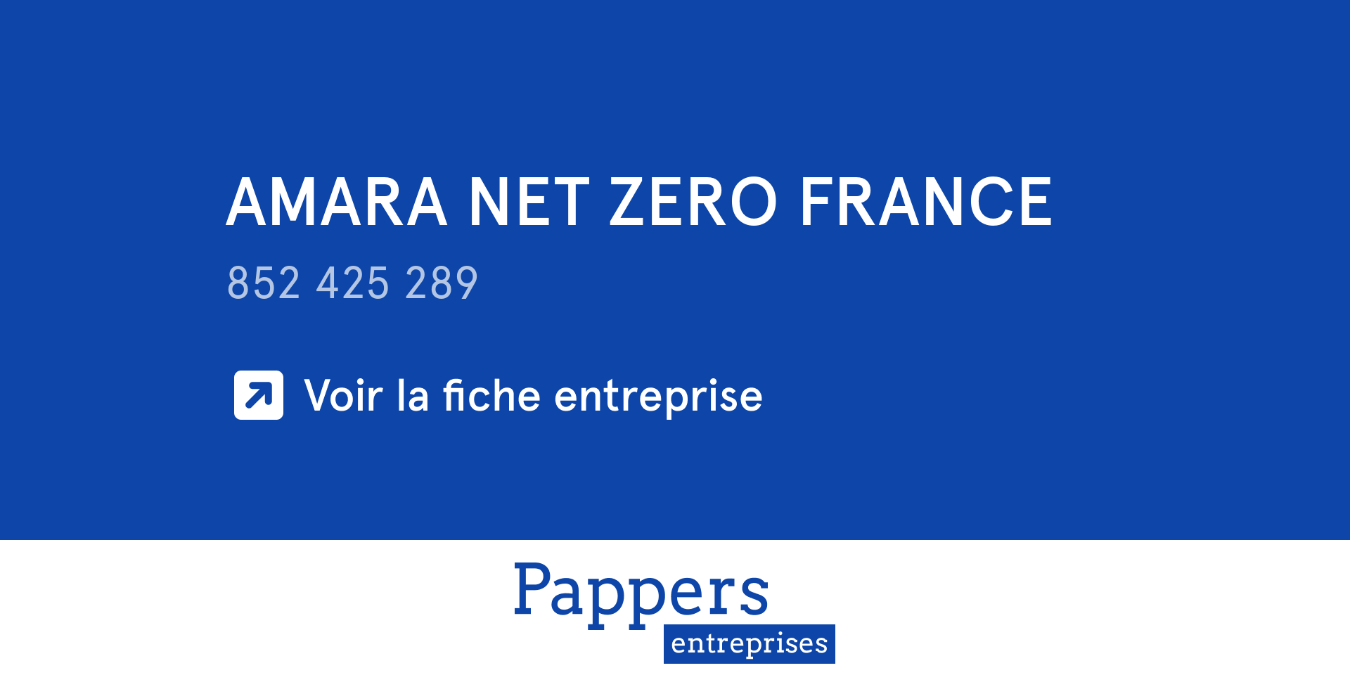 Société AMARA NET ZERO FRANCE : Chiffre d'affaires, statuts, extrait d ...