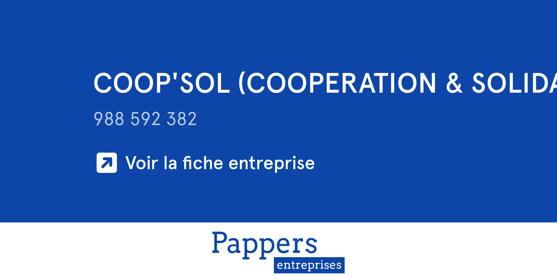 Association COOP'SOL (COOPERATION & SOLIDARITE) : Chiffre d'affaires ...