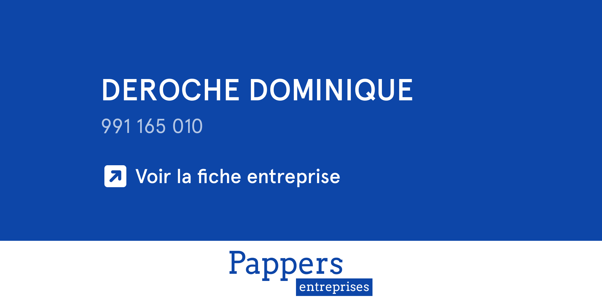 DEROCHE DOMINIQUE (991165010) : Chiffre d'affaires, statuts, extrait d ...