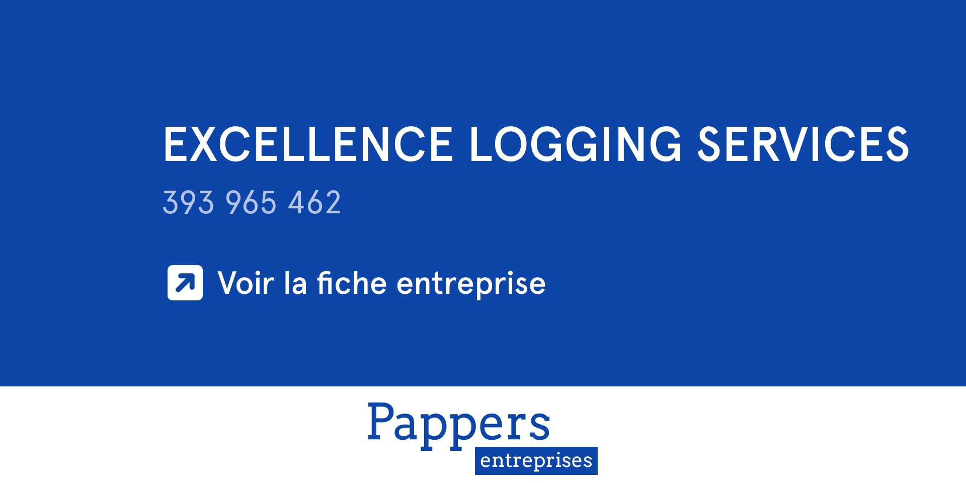 Société EXCELLENCE LOGGING SERVICES : Chiffre d'affaires, statuts ...
