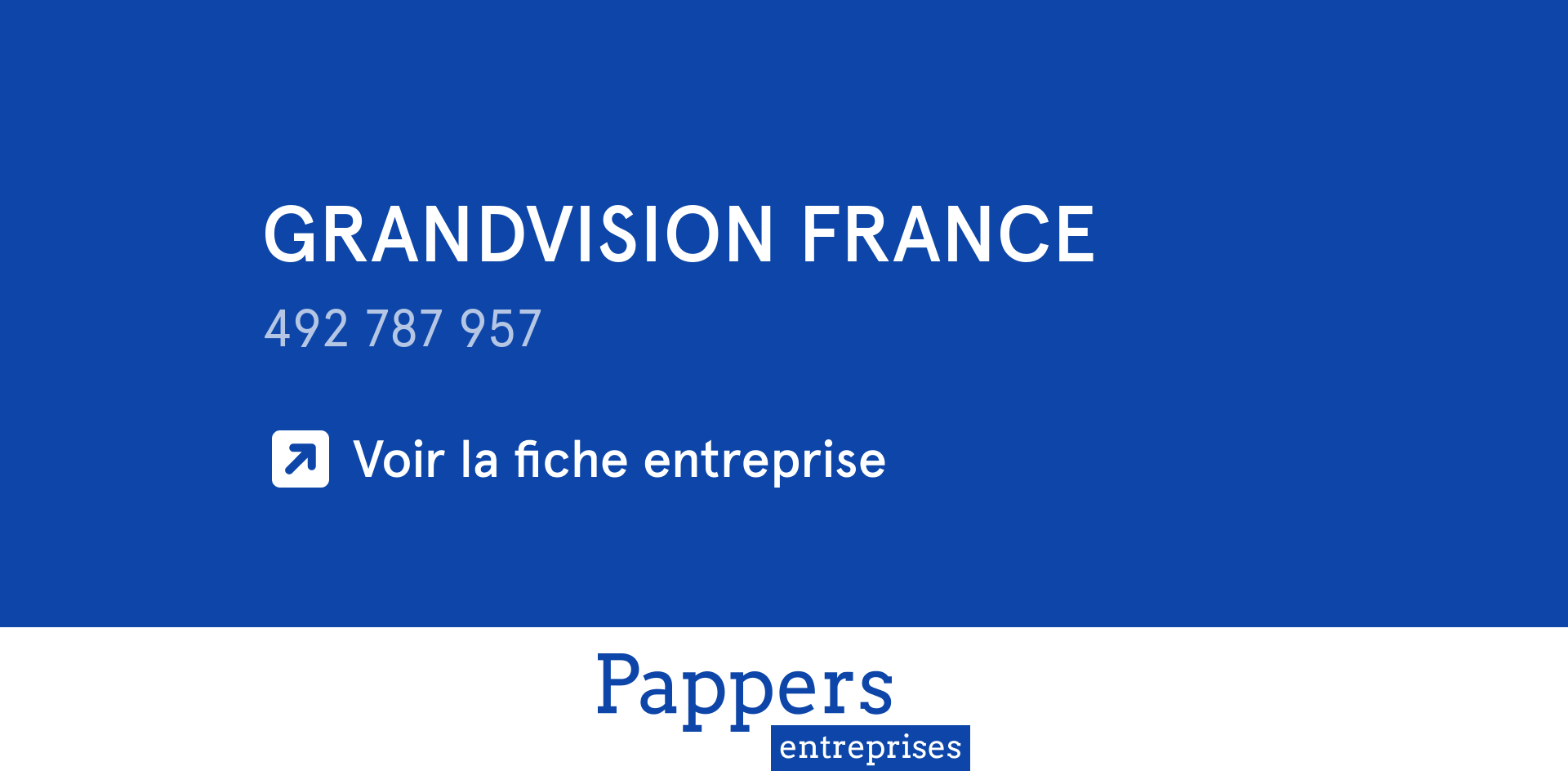 Société GRANDVISION FRANCE : Chiffre d'affaires, statuts, extrait d ...