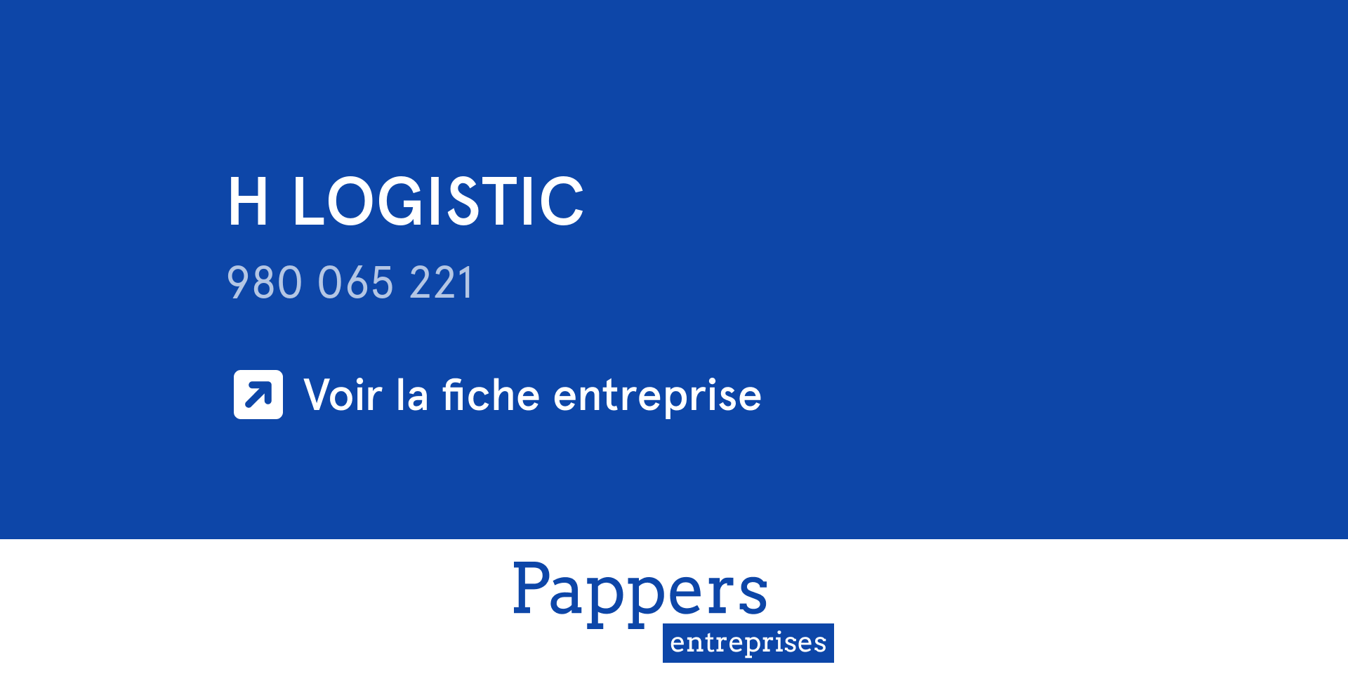 Société H LOGISTIC : Chiffre d'affaires, statuts, extrait d'immatriculation
