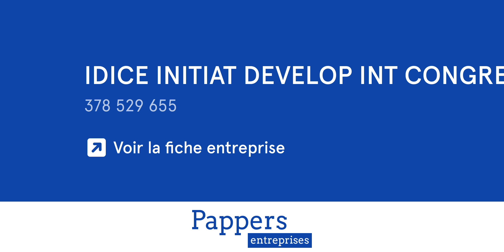 Société IDICE INITIAT DEVELOP INT CONGRES EXPOS : Chiffre d'affaires ...