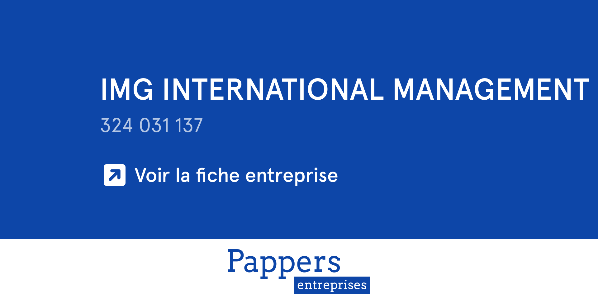 Société IMG INTERNATIONAL MANAGEMENT GROUP : Chiffre d'affaires ...
