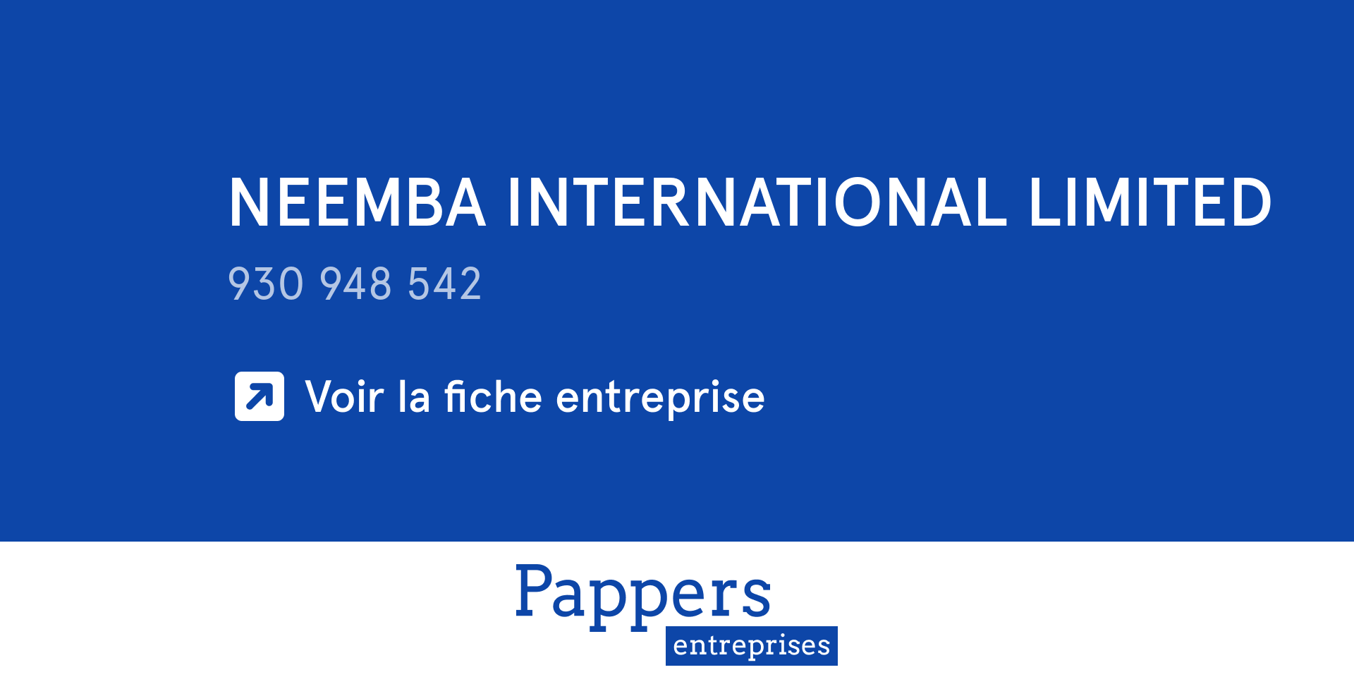 NEEMBA INTERNATIONAL LIMITED : Chiffre d'affaires, statuts, extrait d ...