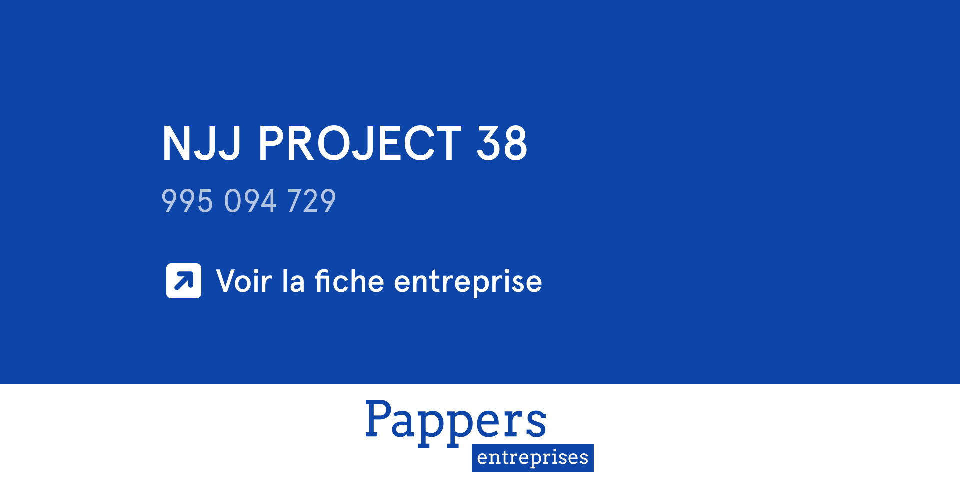 NJJ PROJECT 38 (995094729) : Chiffre d'affaires, statuts, extrait d ...