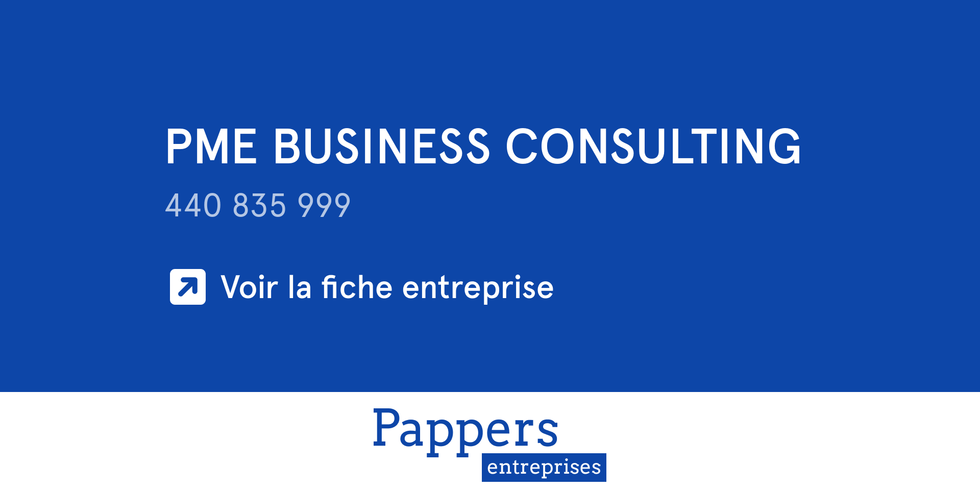Société PME BUSINESS CONSULTING : Chiffre d'affaires, statuts, extrait ...