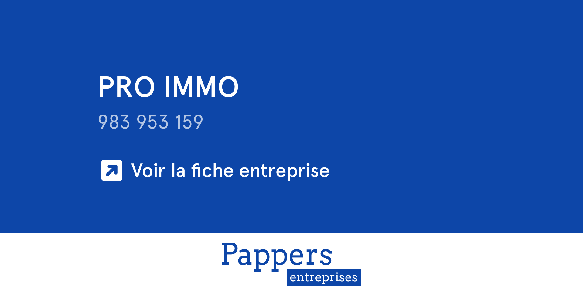 Société PRO IMMO : Chiffre d'affaires, statuts, extrait d'immatriculation