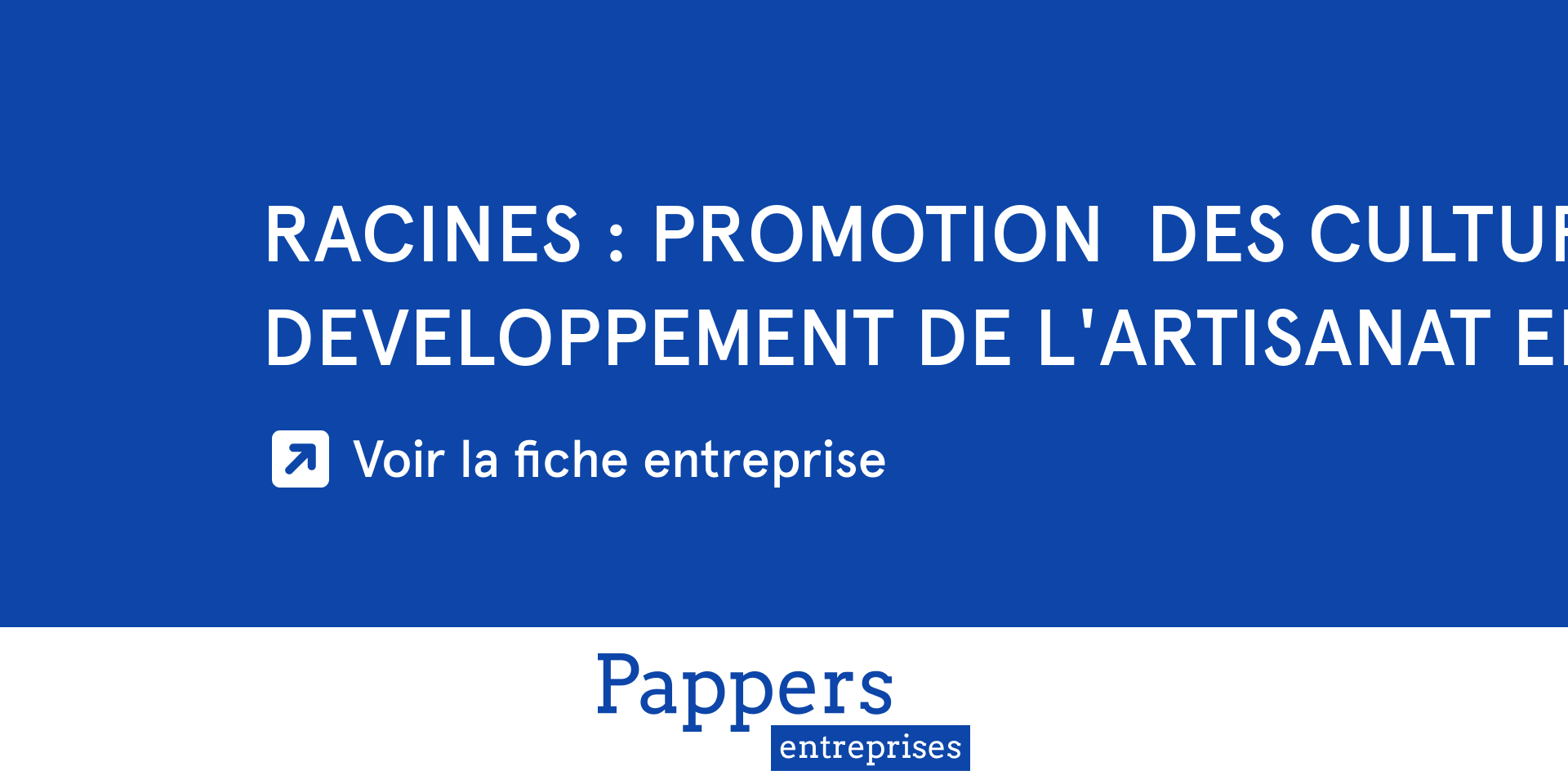 Société RACINES : PROMOTION DES CULTURES AFRICAINES ET DE L'ART ...