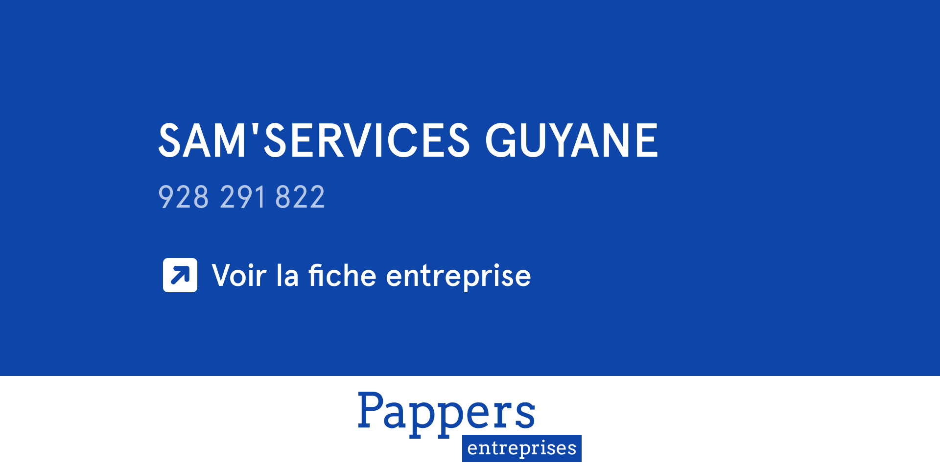 Société SAM'SERVICES GUYANE : Chiffre d'affaires, statuts, extrait d'immatriculation