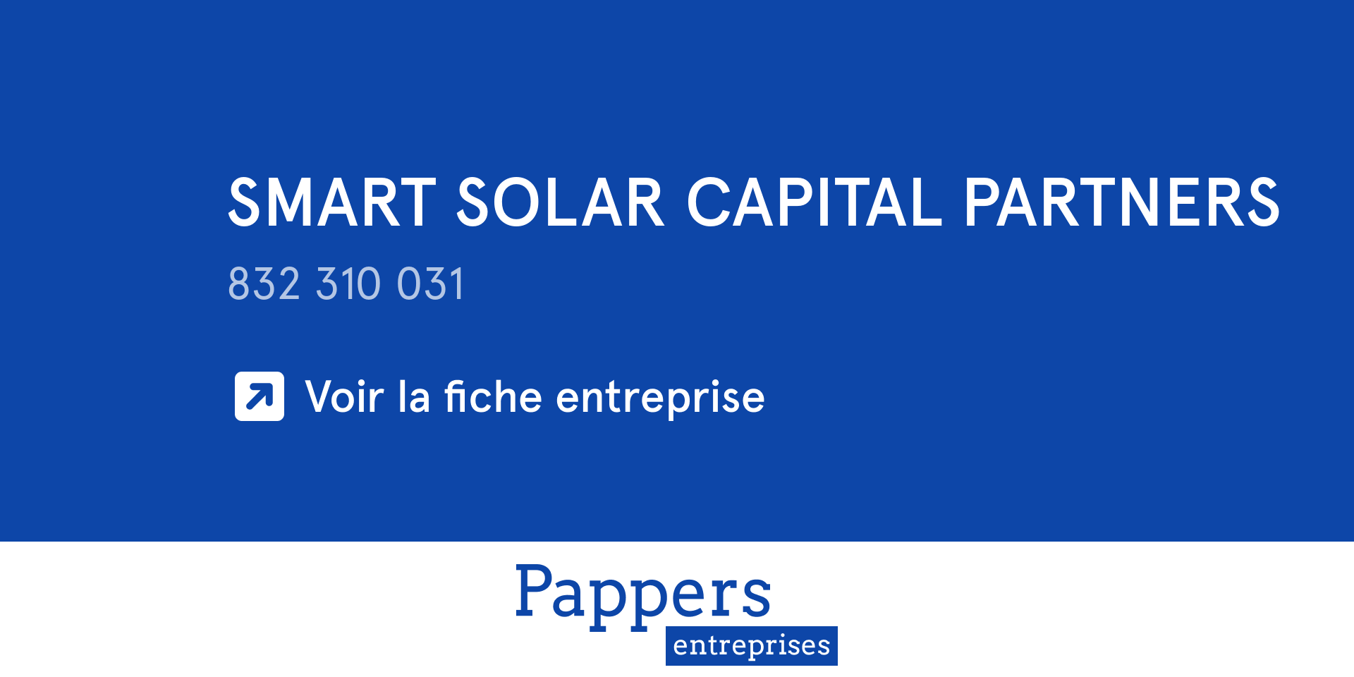 Société SMART SOLAR CAPITAL PARTNERS : Chiffre d'affaires, statuts ...