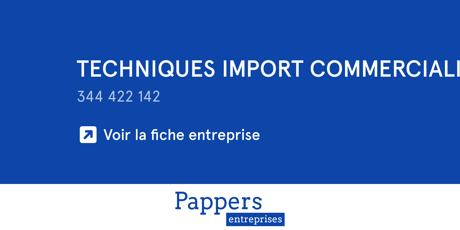 Société TECHNIQUES IMPORT COMMERCIALISATION : Chiffre d'affaires ...