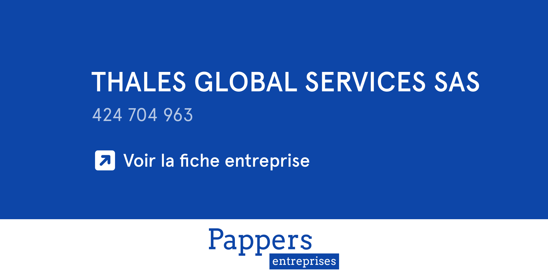 Société THALES GLOBAL SERVICES SAS : Chiffre d'affaires, statuts ...