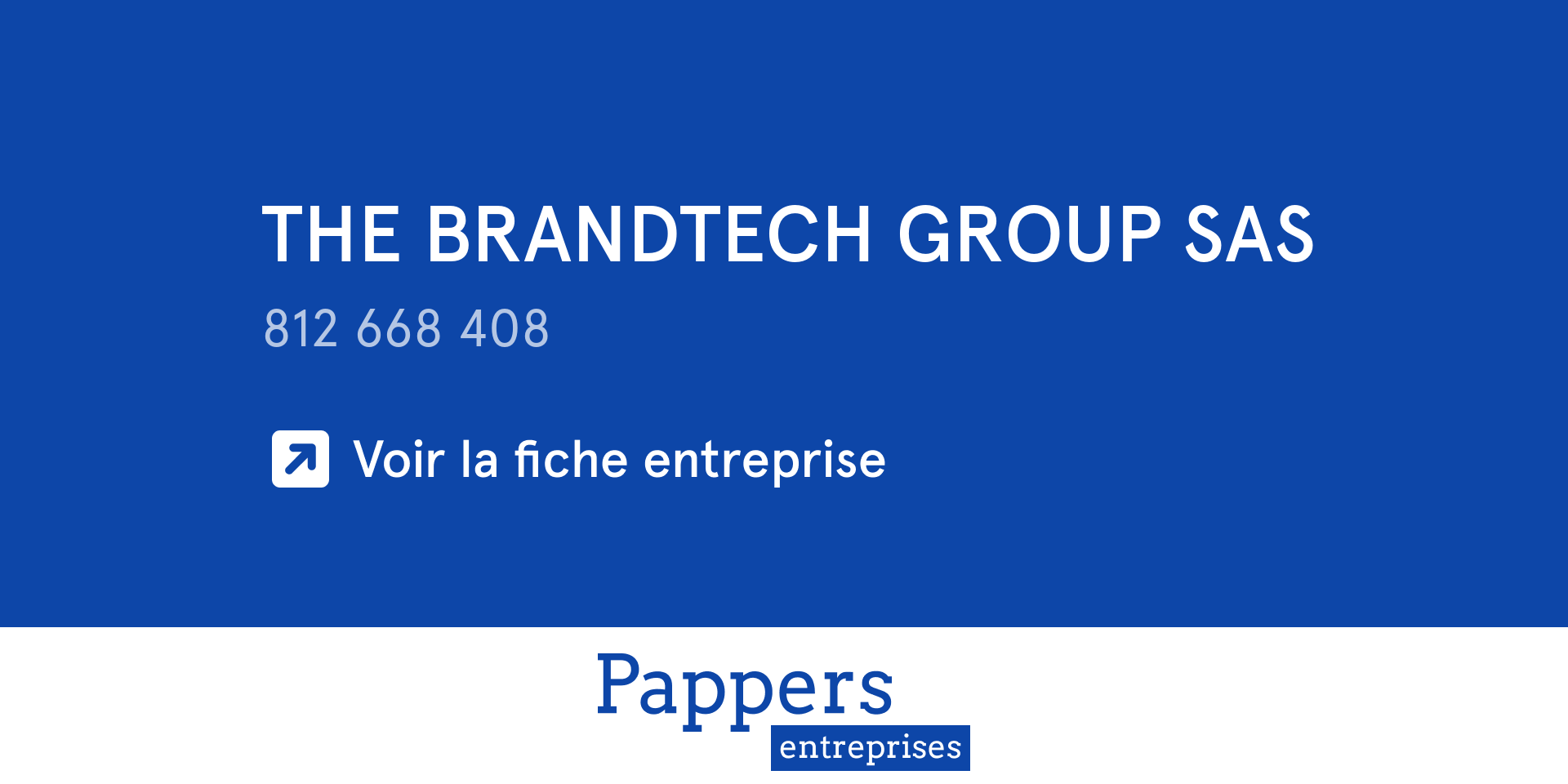 Société THE BRANDTECH GROUP SAS : Chiffre d'affaires, statuts, extrait ...