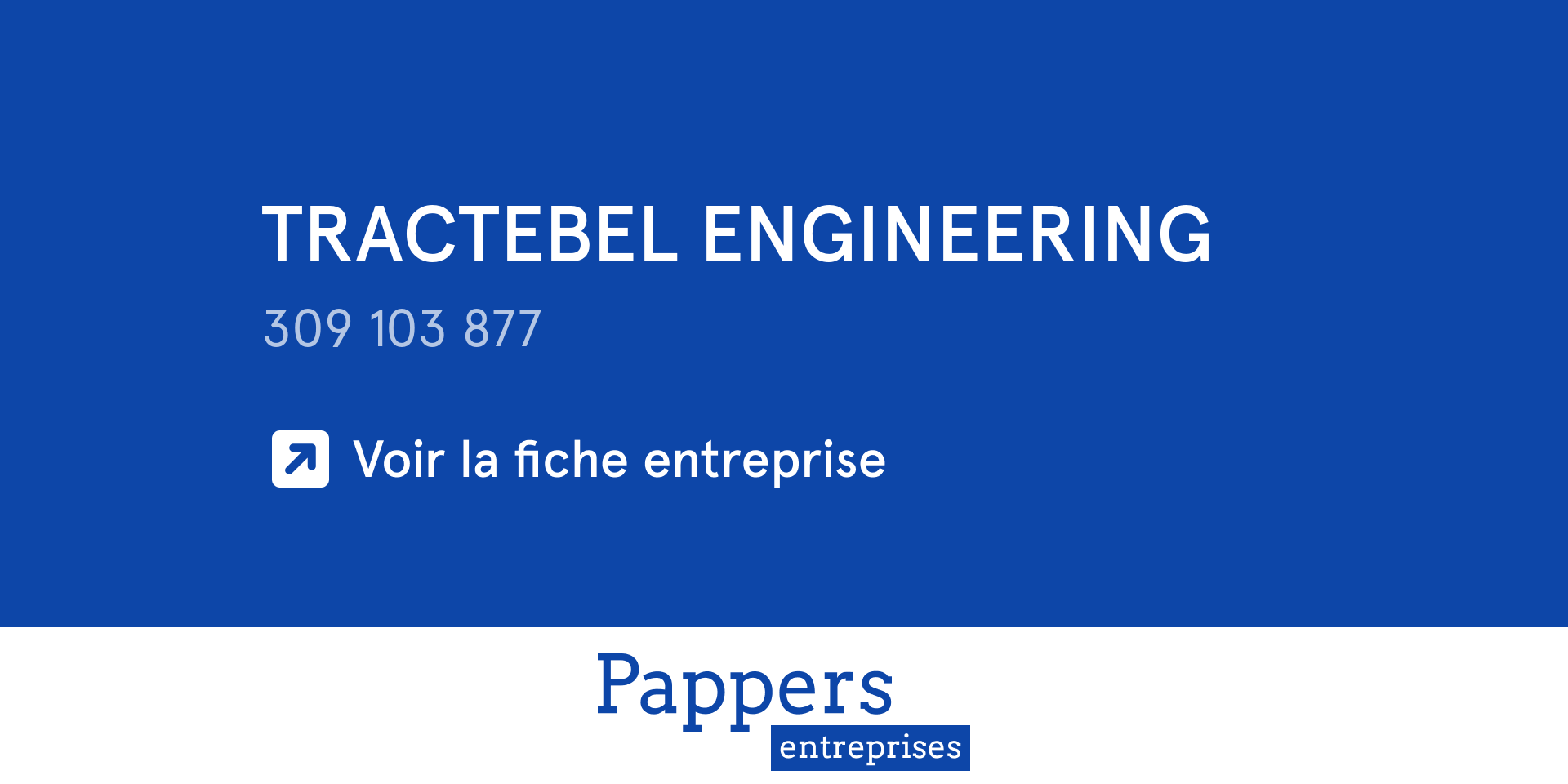 Société TRACTEBEL ENGINEERING : Chiffre d'affaires, statuts, extrait d ...