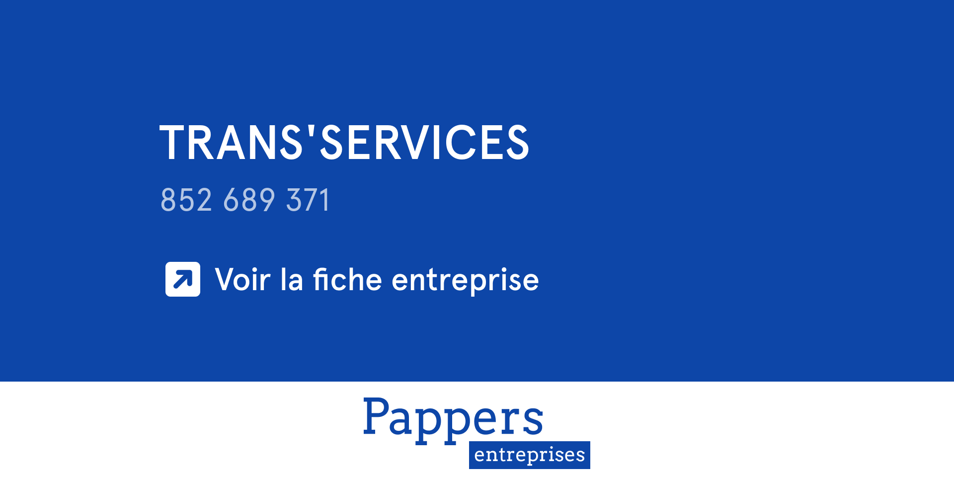 Société TRANS'SERVICES : Chiffre d'affaires, statuts, extrait d ...