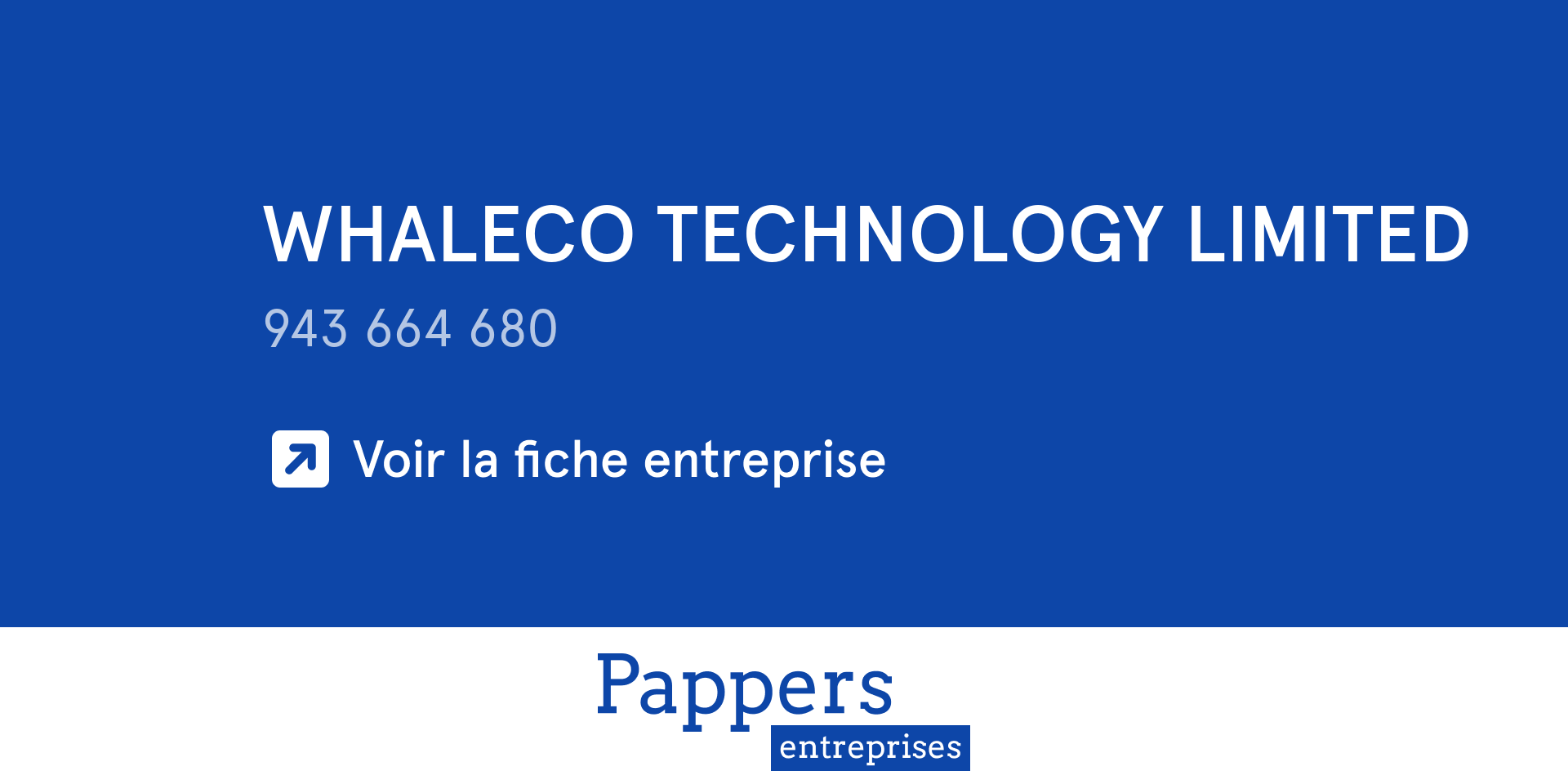 WHALECO TECHNOLOGY LIMITED : Chiffre d'affaires, statuts, extrait d'immatriculation